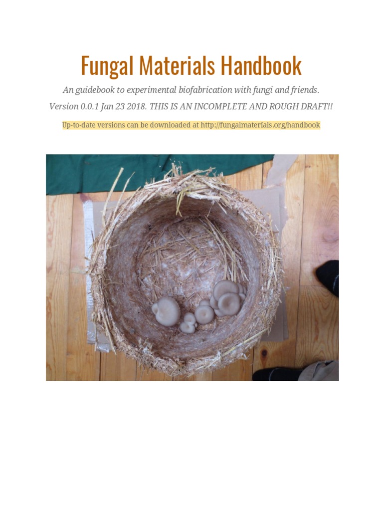 Fungal Biofabrication Guide | PDF | Fungus | Nature