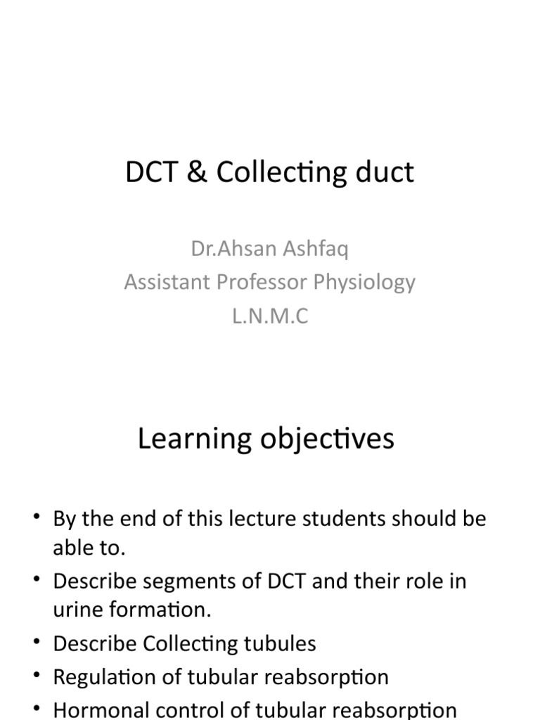 DCT and Collecting Duct | PDF | Angiotensin | Animal Anatomy
