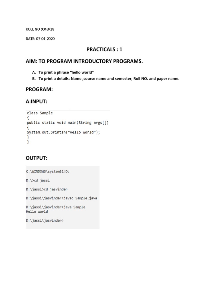 Introductory Programming Practicals | PDF