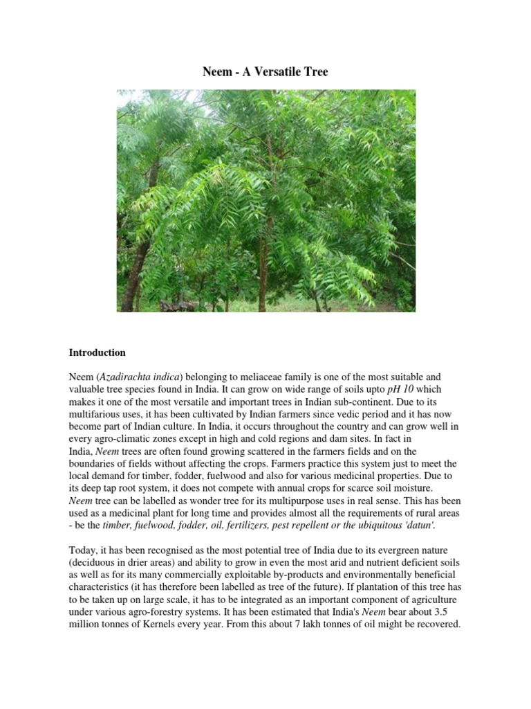 Neem: Uses, Cultivation & Benefits | PDF | Trees | Soil