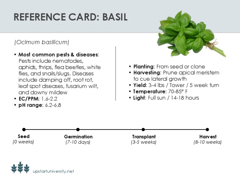 Reference Card Basil 2 | PDF