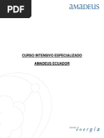 Manual de Amadeus Críptico | PDF | aerolíneas | Aviación