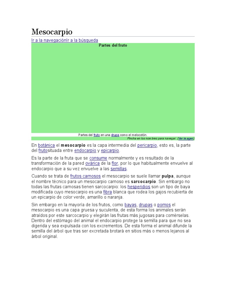 Mesocarpio | PDF