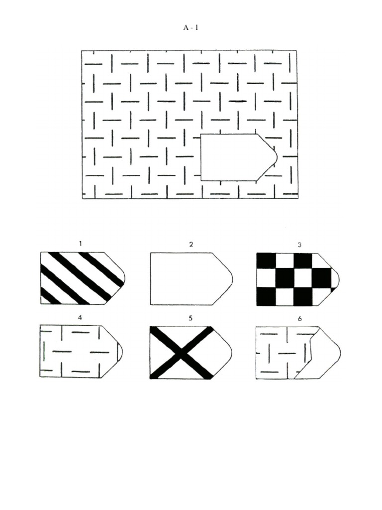 Cuadernillo Raven SPM | PDF