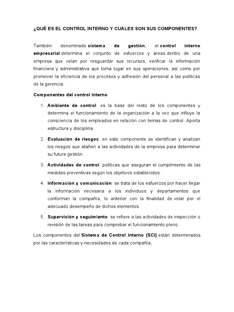 Qué Es El Control Interno y Cuáles Son Sus Componentes | PDF