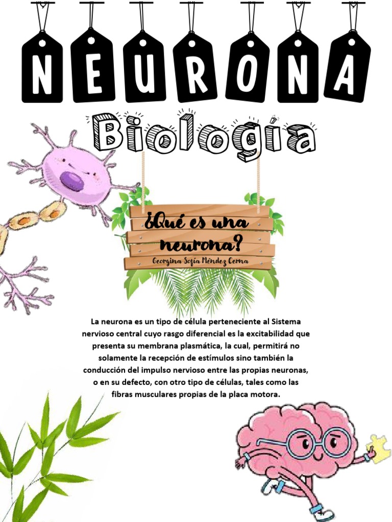 Neurona-Georgina Méndez | PDF | Neurona | Axon