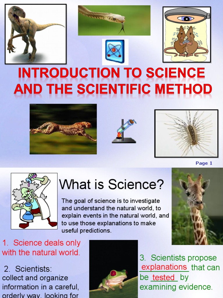 Scientific Method PowerPoint | PDF | Experiment | Scientific Method