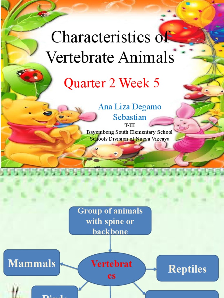 Characteristics of Vertebrate Animals | PDF | Zoology | Animal Physiology