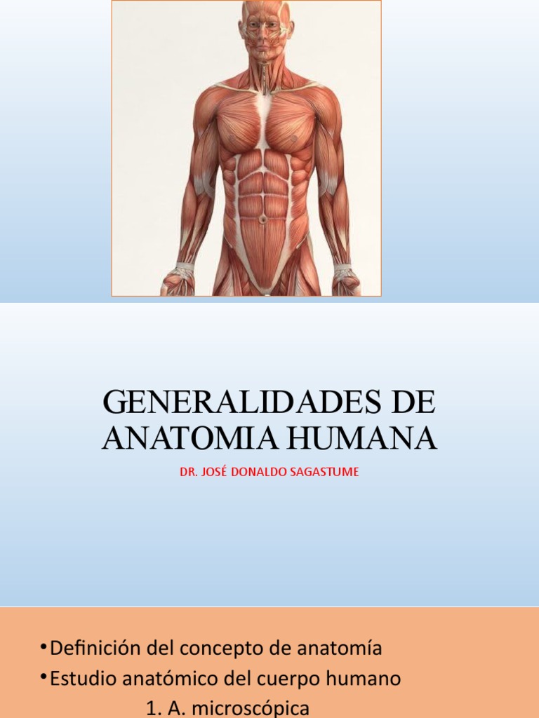 Generalidades de Anatomía Humana | PDF | Hueso | Anatomía humana