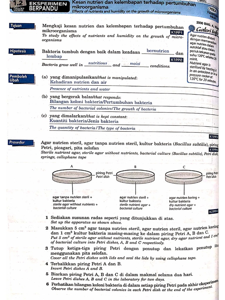 Eksperimen Pertumbuhan Mikrob | PDF