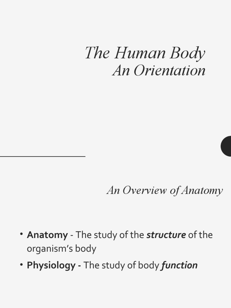 The Human Body: An Orientation | PDF | Human Body | Anatomical Terms Of ...
