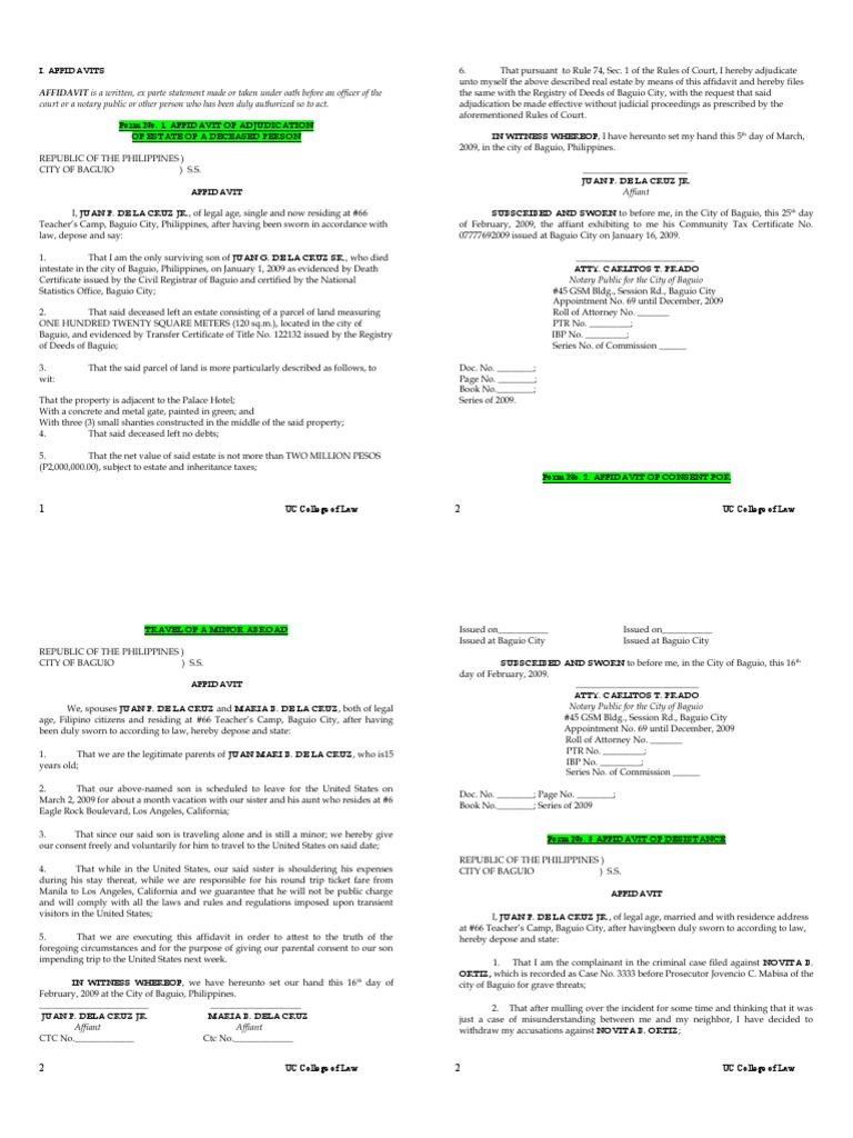 Affidavit FORMS Book | PDF | Affidavit | Notary Public