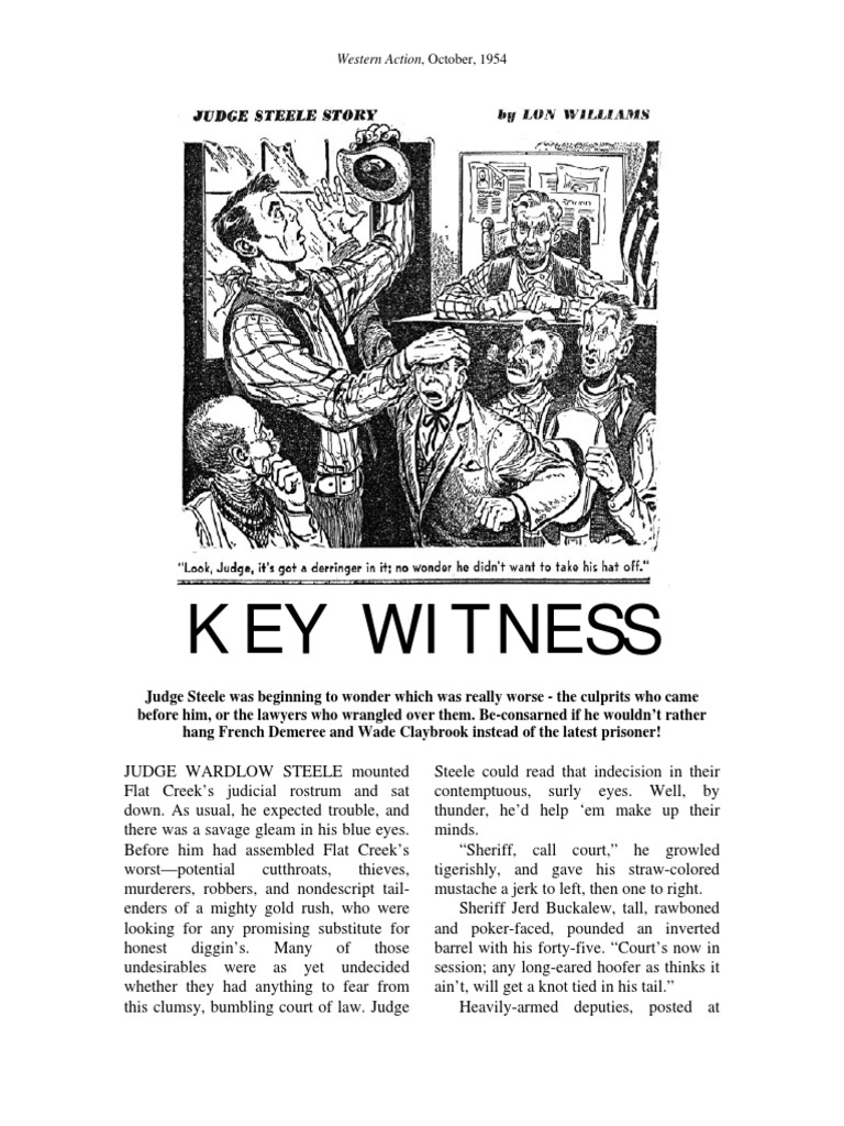 Key Witness: Tensions Rise During a Murder Trial in Judge Steele's ...