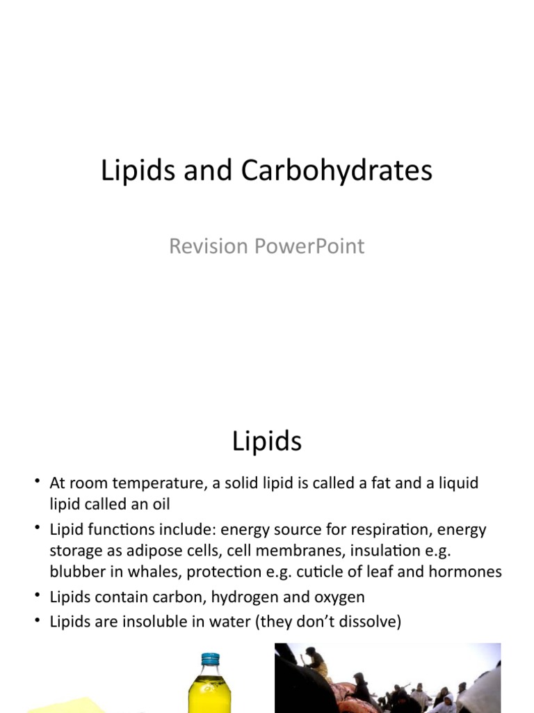 Lipids and Carbohydrates | PDF | Lipid | Carbohydrates