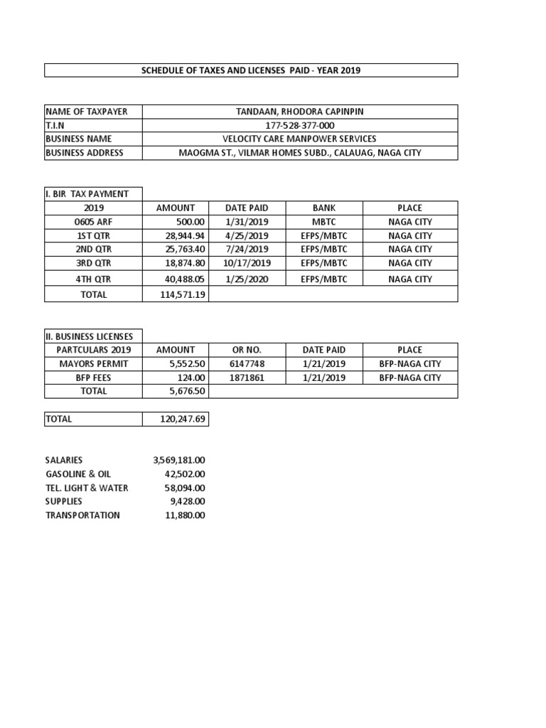 Schedule of Taxes and Licenses Paid - Year 2019 | PDF