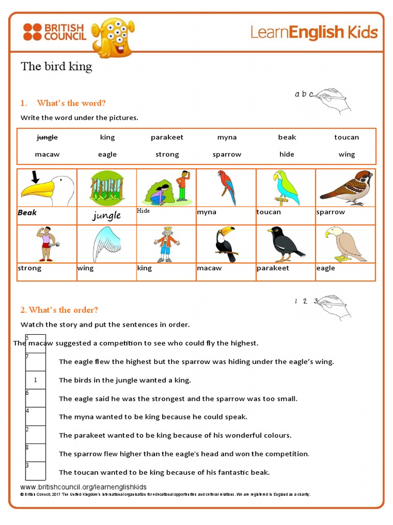 Short Stories Story Time The Bird King Worksheet | PDF | Paravians | Birds