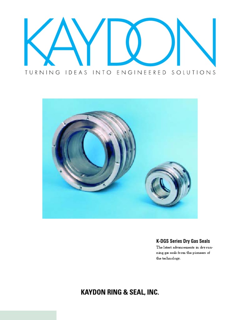 Kaydon Dry Gas Seal | Bearing (Mechanical) | Gases