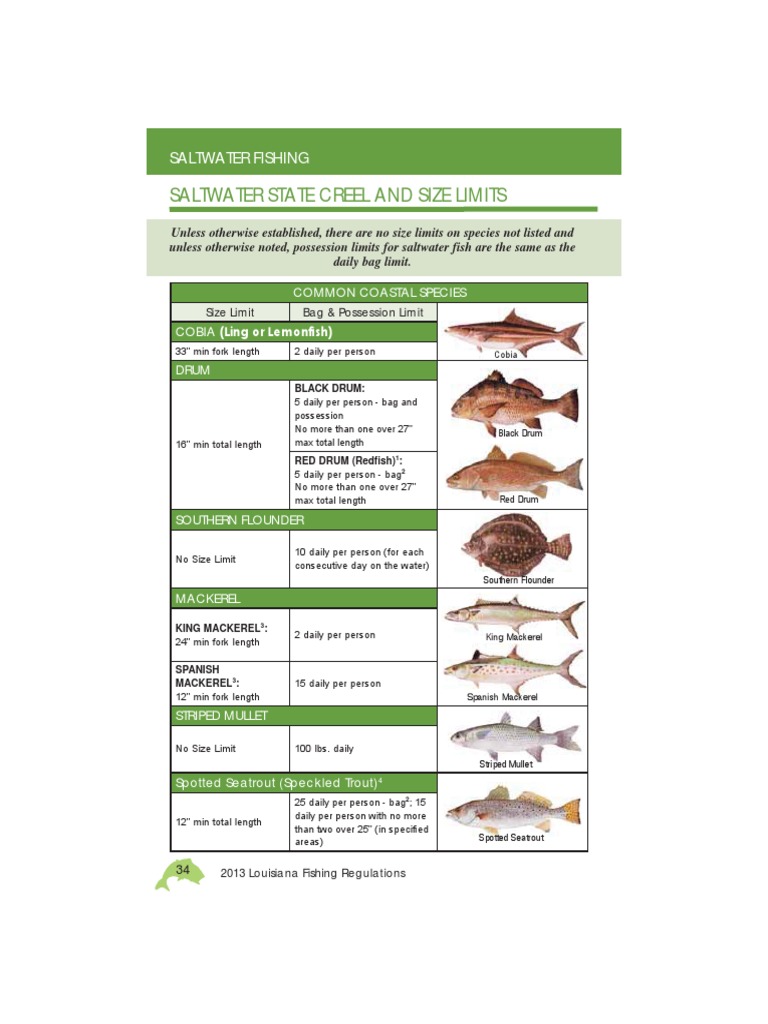 Saltwater State Creel and Size Limits | PDF | Fish | Fish And Humans