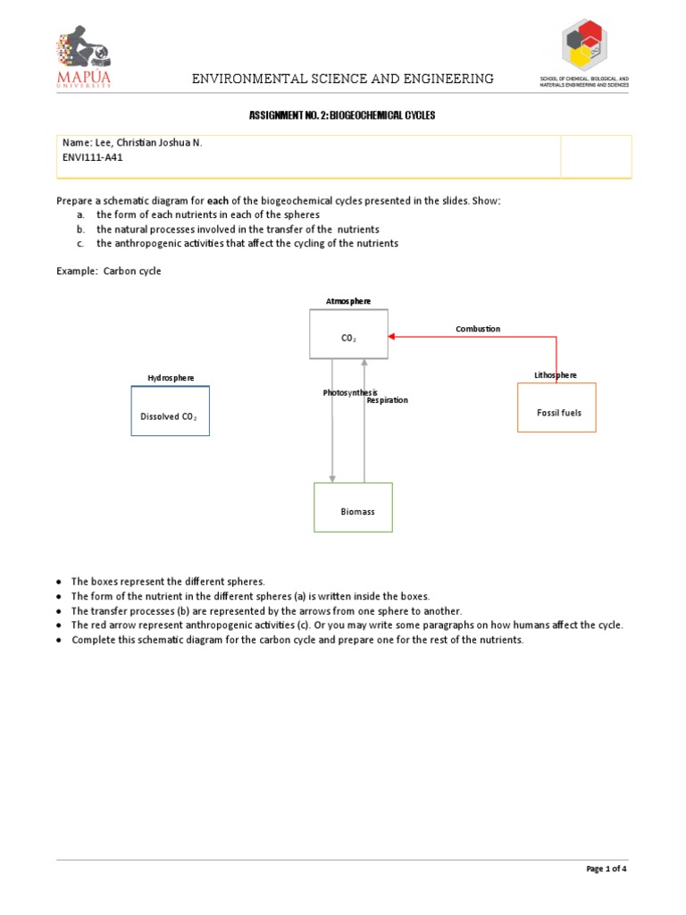 Biogeochemical Cycles Assignment Guide | PDF | Earth Sciences | Nature