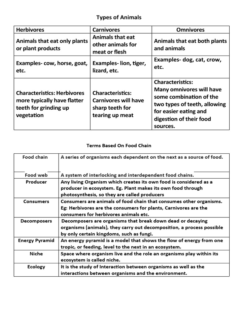 Food Chain A Series of Organisms Each Dependent On The Next As A Source ...