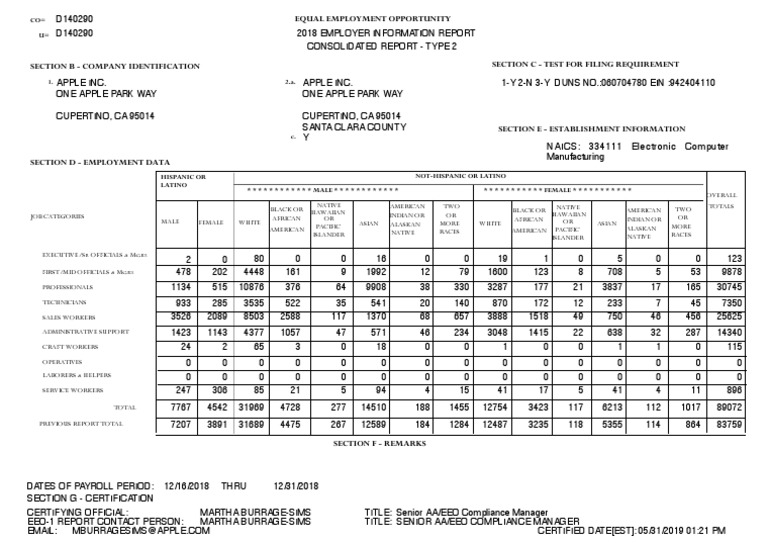 2018 EEO 1 Consolidated Report | PDF | Race And Ethnicity In The United ...
