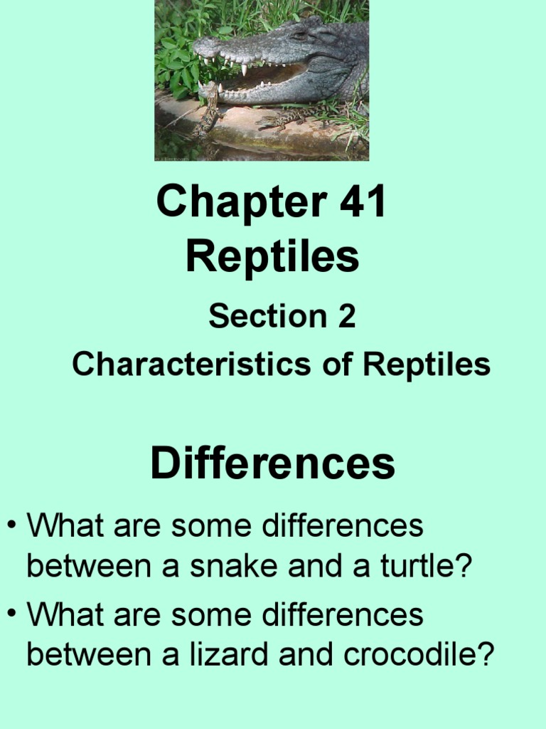 Reptiles: Section 2 Characteristics of Reptiles | PDF ...