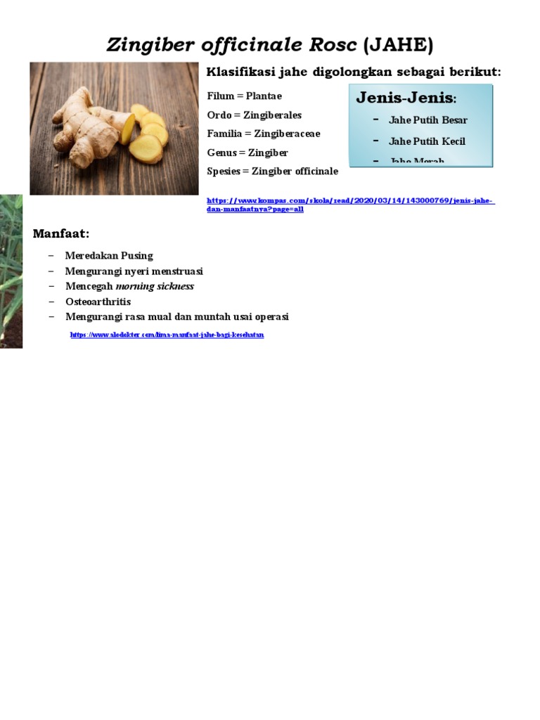 KLASIFIKASI DAN MANFAAT JAHE | PDF