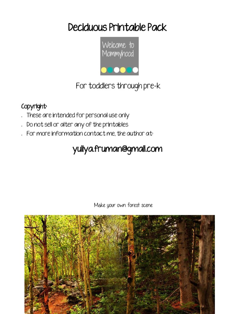 FOREST ANIMALS Pack - ENG PDF | PDF