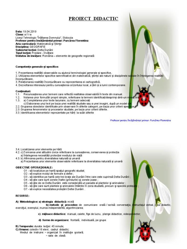 2 Proiect Didactic Geografie | PDF