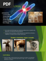 Raza Caprina Anglo-Nubian: Características y Cuidados | PDF | Cabra | Leche