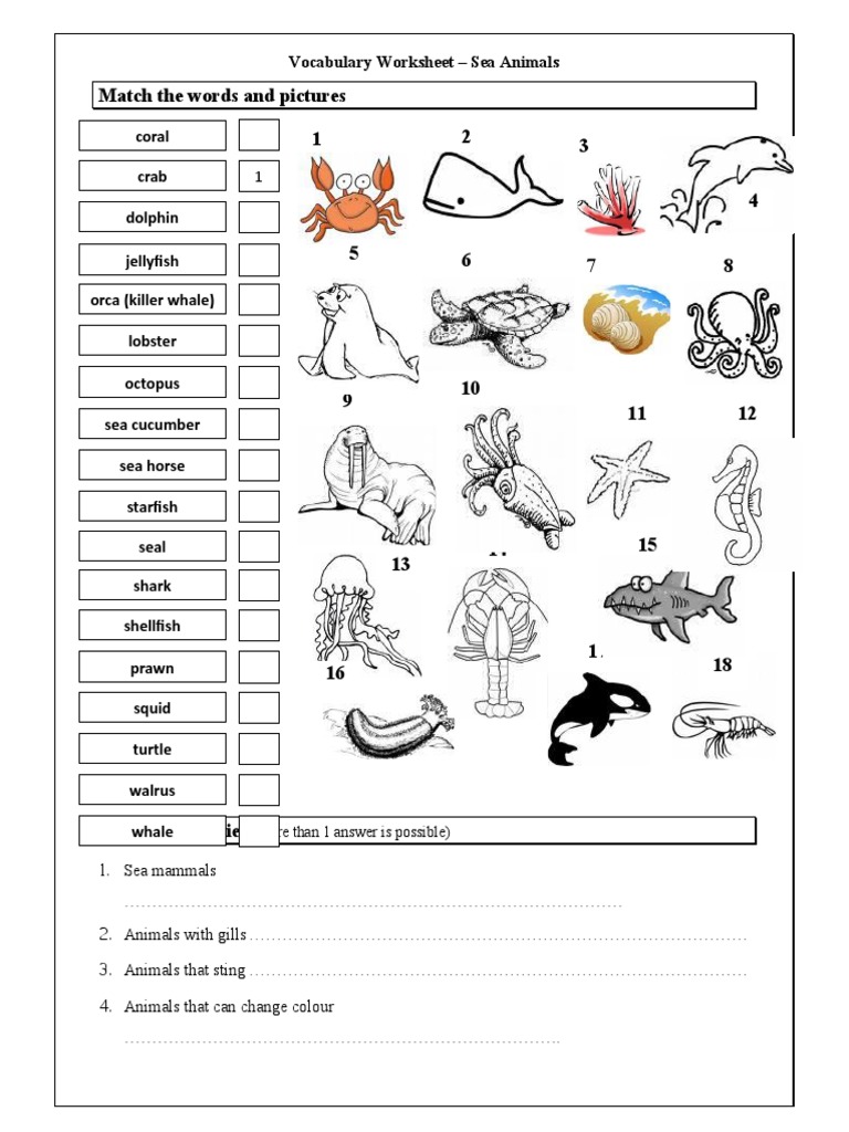 Vocabulary Matching Worksheet Sea Animals | PDF