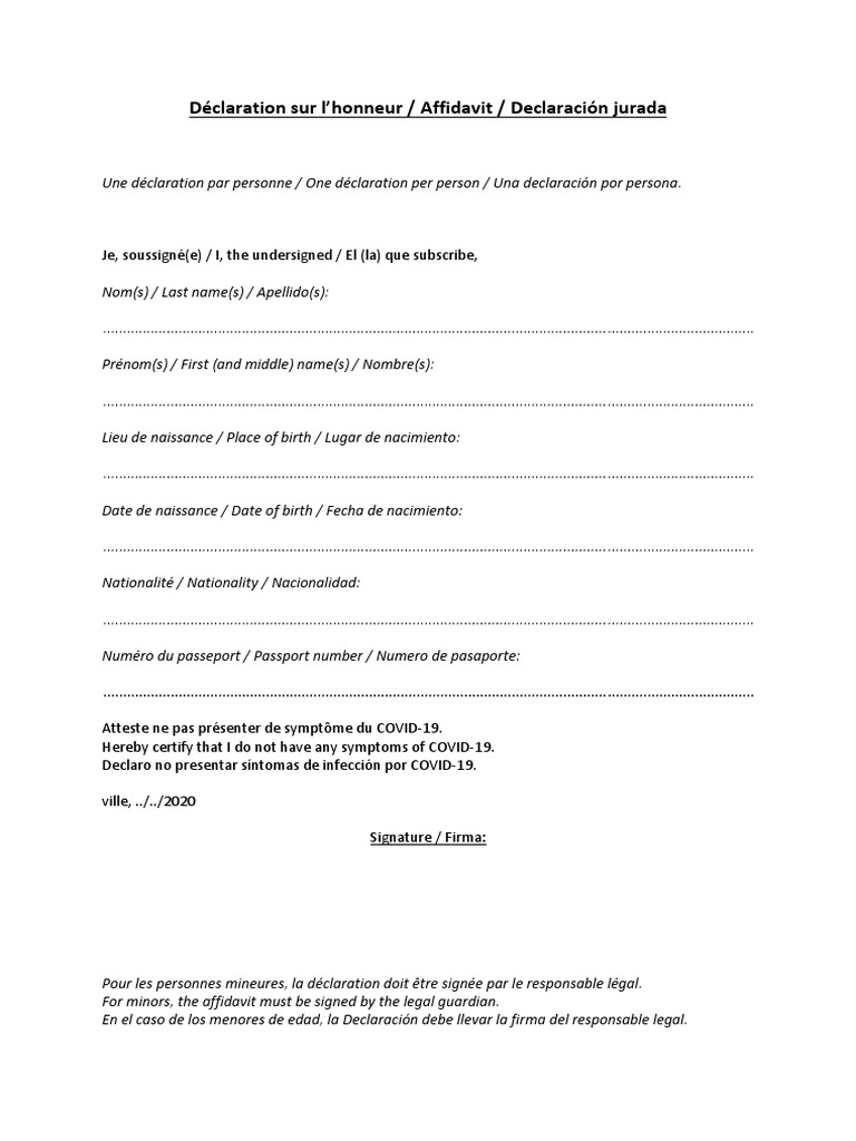 French Affidavit 1 PDF | PDF
