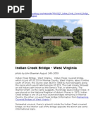 Chief Moytoy of Tellico | Cherokee Tribe | Iroquoian Peoples