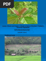 Paho Mango: A Sour Philippine Delight | PDF