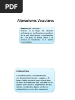 Clasificación del Fotoenvejecimiento | PDF