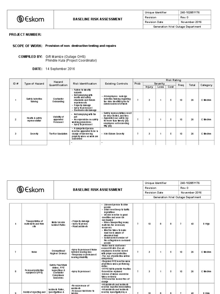 Baseline Risk Assessment: Phindile Kula (Project Coordinator) | PDF ...
