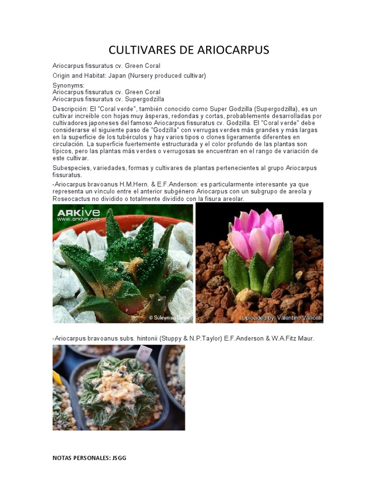 Cultivares de Ariocarpus JSGG | PDF | Botánica | Horticultura y jardinería