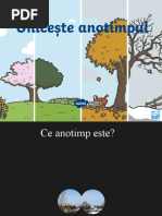 Centralizator Grupa Mare Evaluare Initiala 2023-2024 | PDF