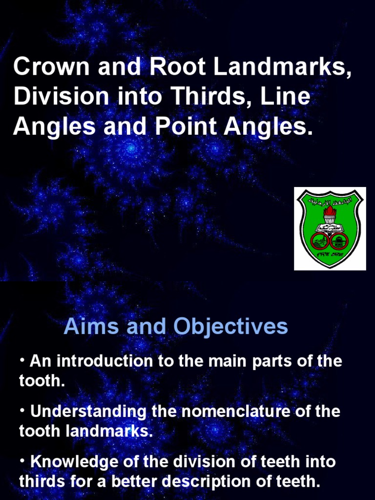 Tooth Anatomy: Landmarks & Angles | PDF | Tooth | Human Tooth