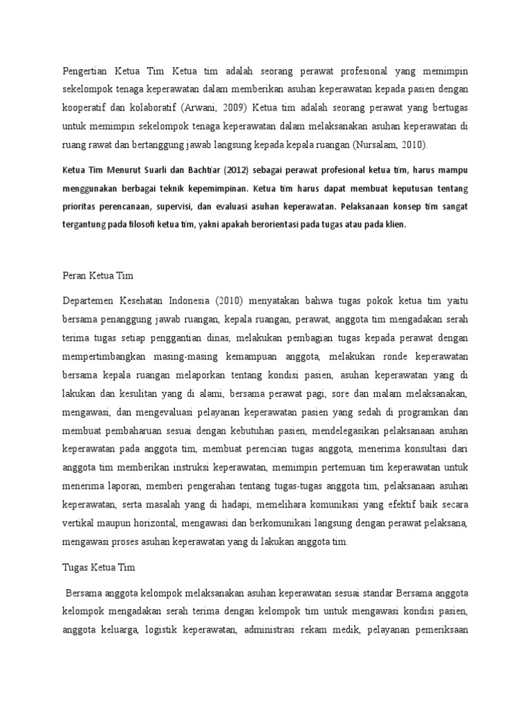 Pengertian Ketua Tim Ketua Tim Adalah Seorang Perawat Profesional Yang ...
