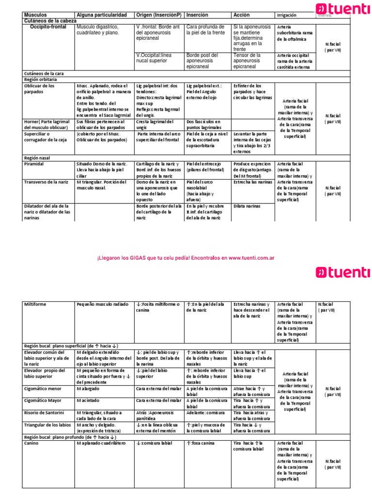 Musculos Cutaneos de La Cara | Descargar gratis PDF | Cara | Cabeza y ...