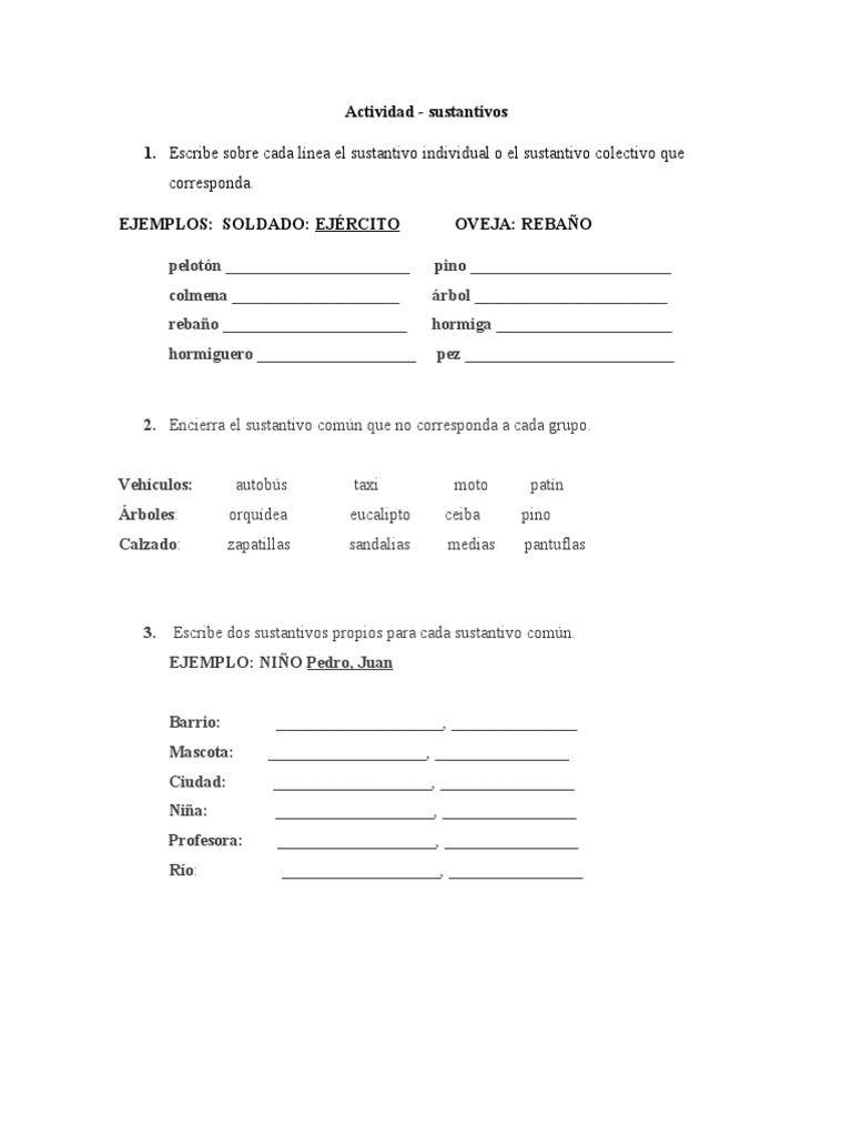Actividad Sustantivos | PDF