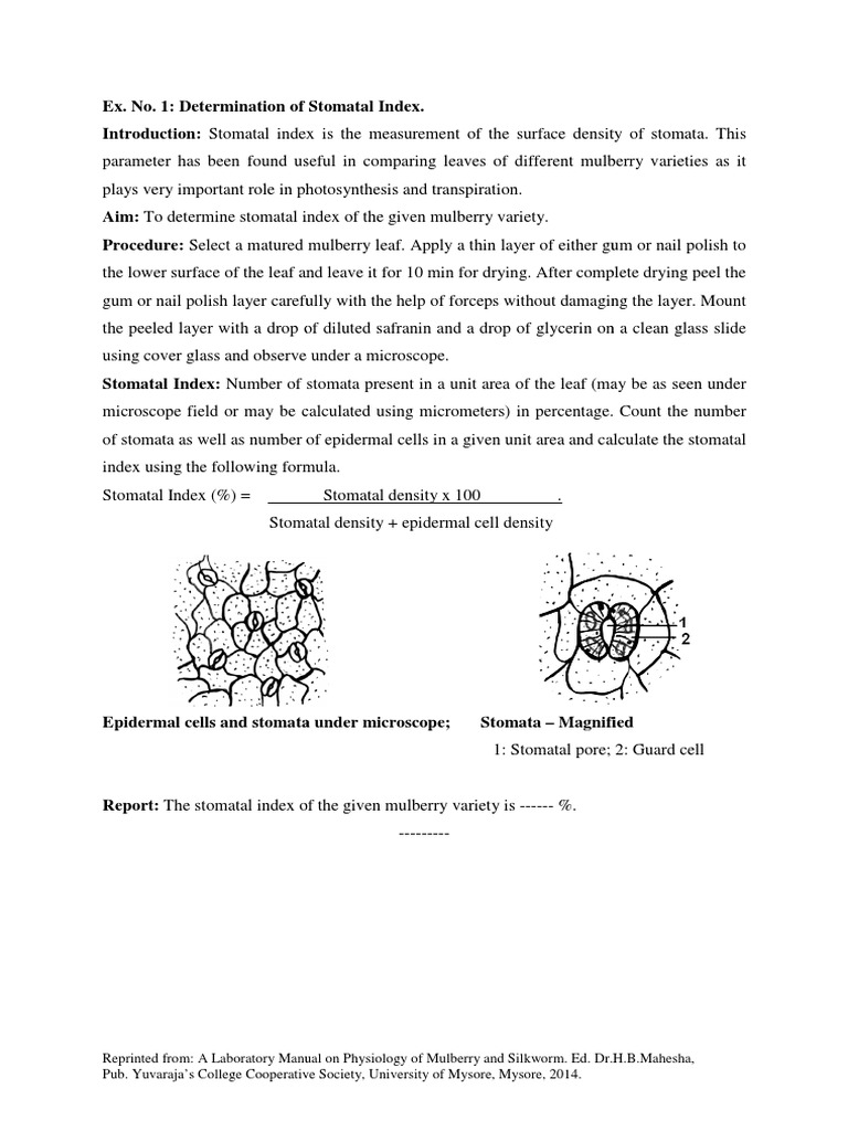 Mulberry Leaf Stomatal Index Guide | PDF | Science & Mathematics