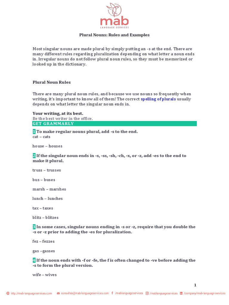 Plural Noun Rules and Examples | PDF | Plural | Grammatical Number