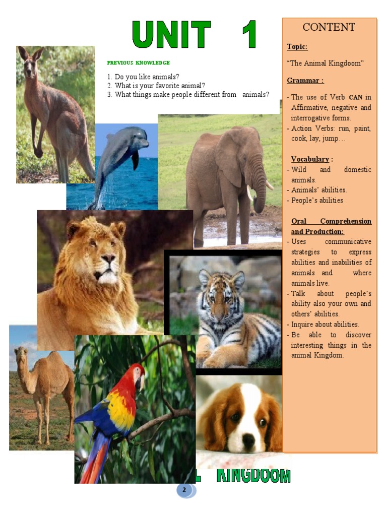 Animal Kingdom | PDF | Zoology