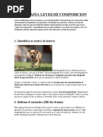 Ensayo Fotografico y Ejemplos | PDF | Ensayos