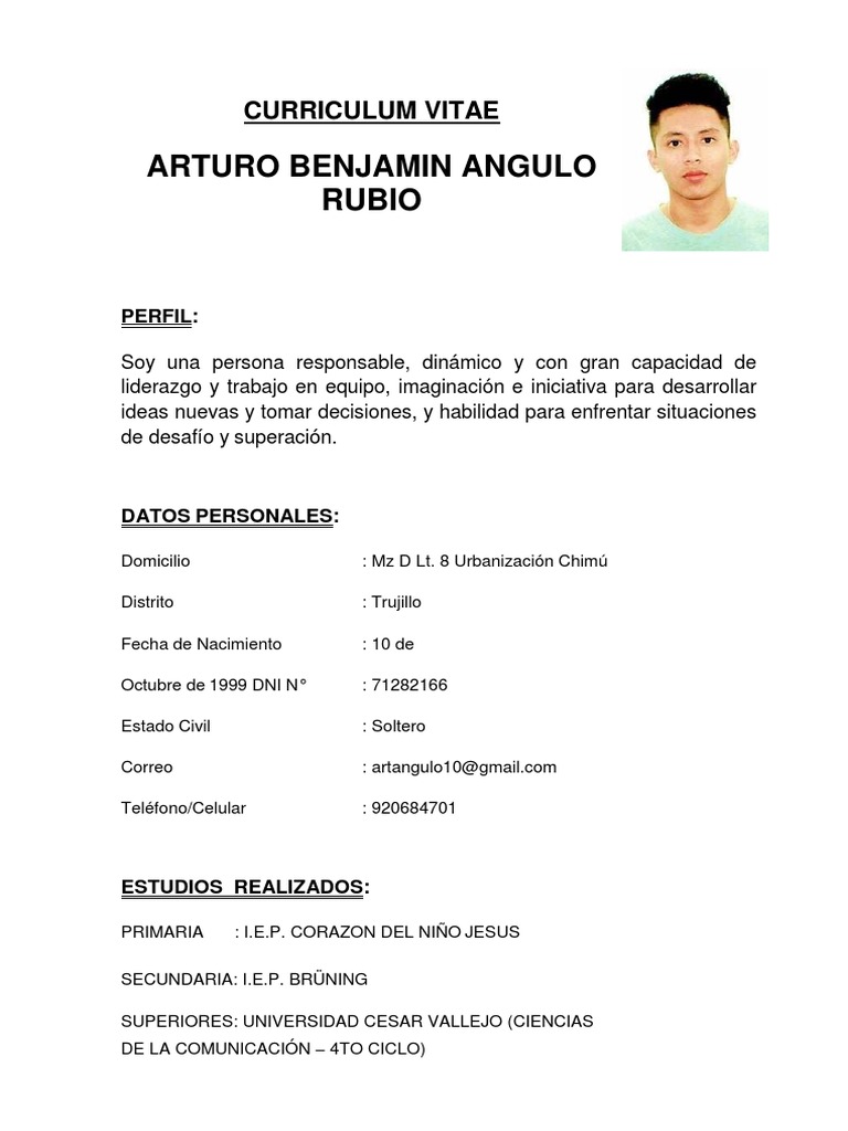 CV Arturo Angulo | PDF