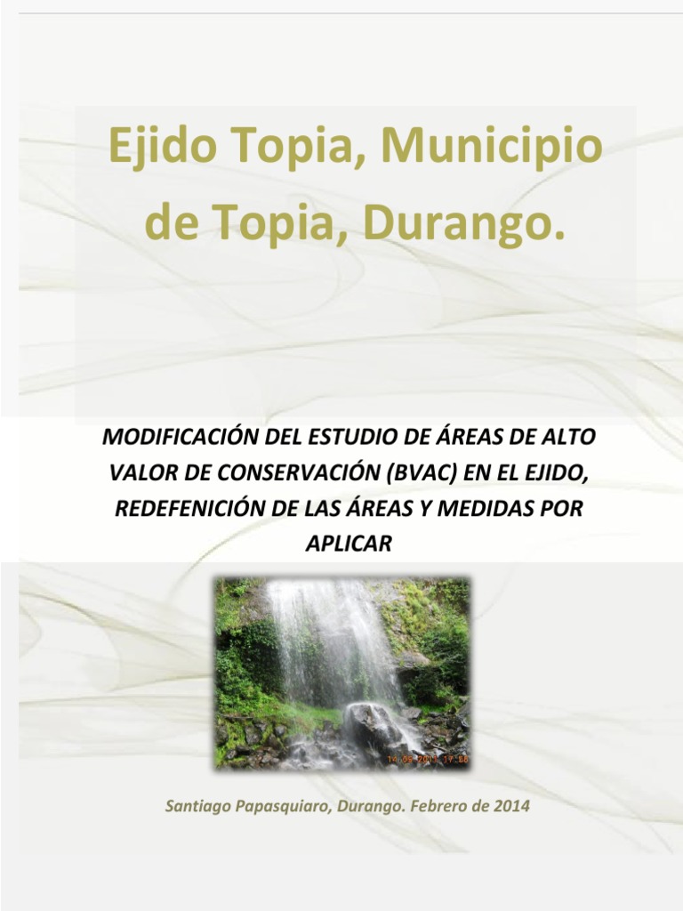 Modificacion Estudio Bvac Topia | PDF | Los bosques | Consejo de ...