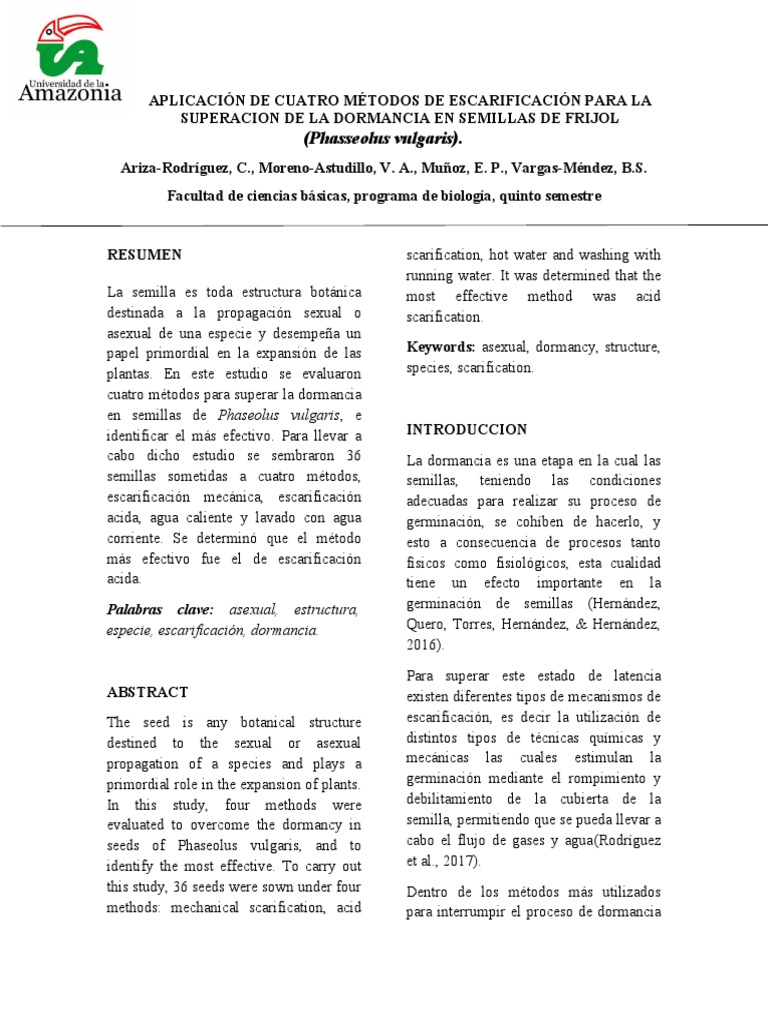 Informe de Germinacion. Micro Proyecto | PDF | Germinación | Semilla