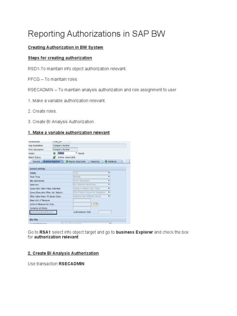 SAP BW Authorization with RSECADMIN | PDF | Variable (Computer Science ...